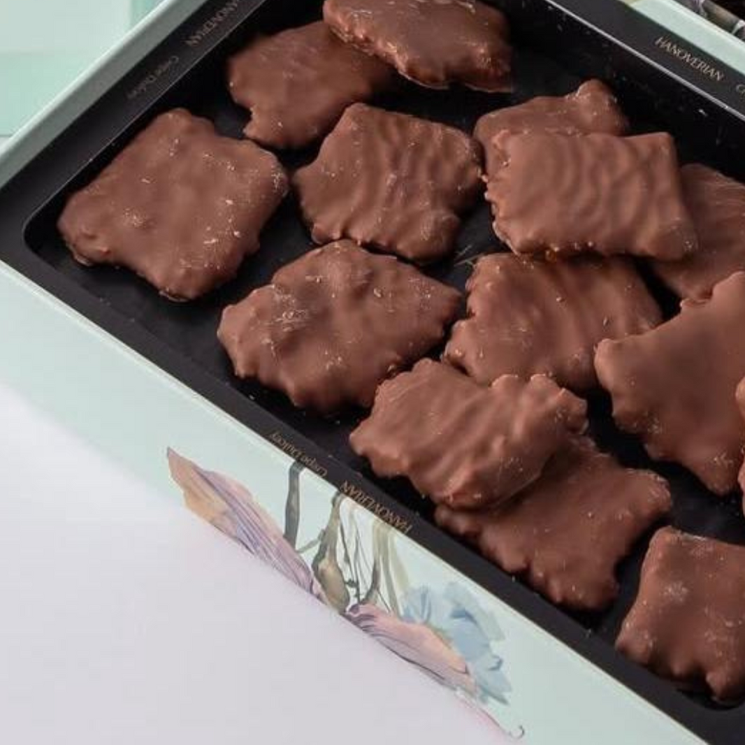 Hanoverian Chocolate - Jordan