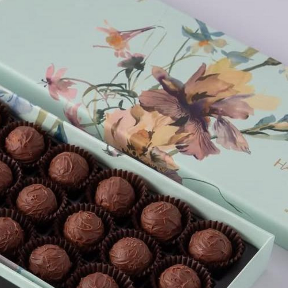 Hanoverian Chocolate - Jordan