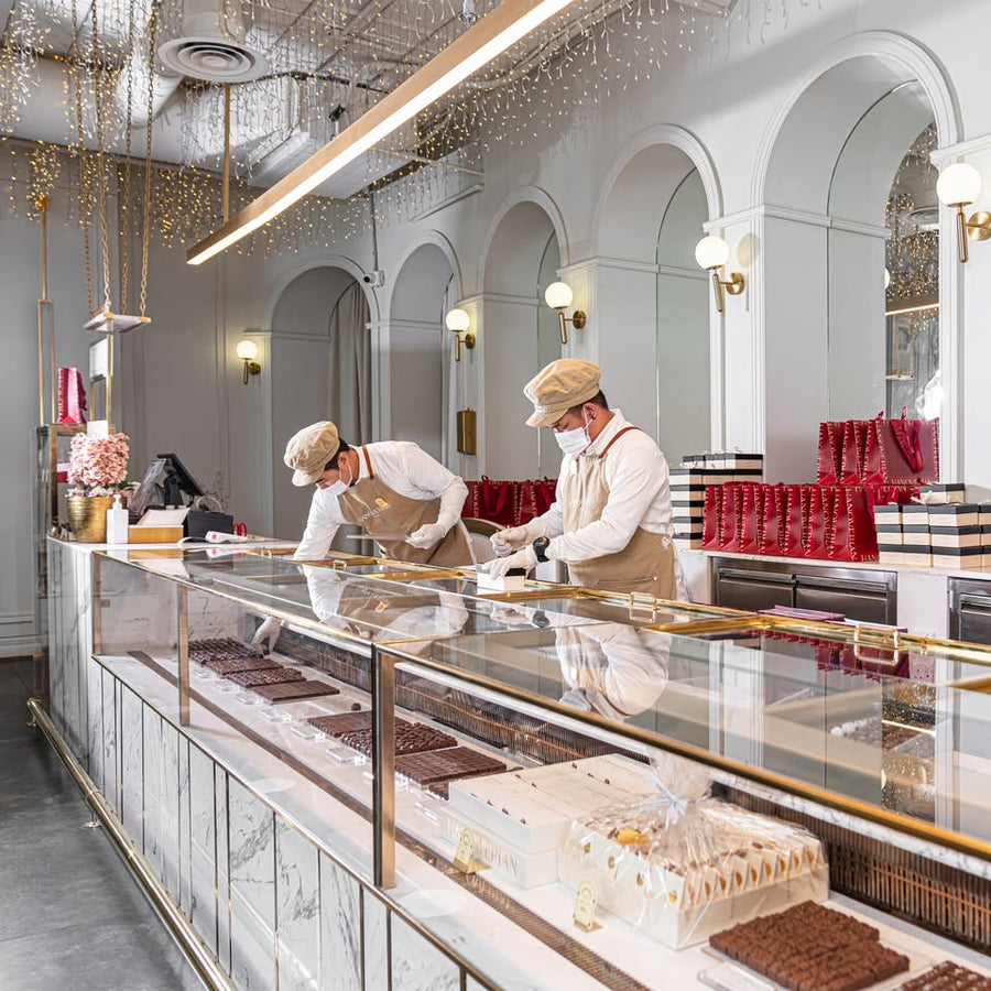 Hanoverian Chocolate - Jordan