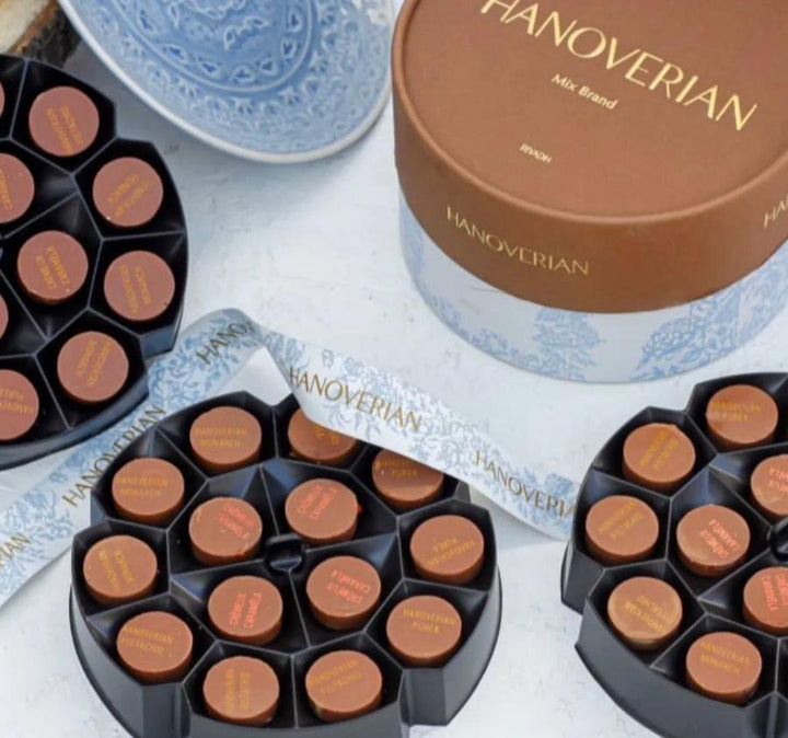 Hanoverian Chocolate - Jordan